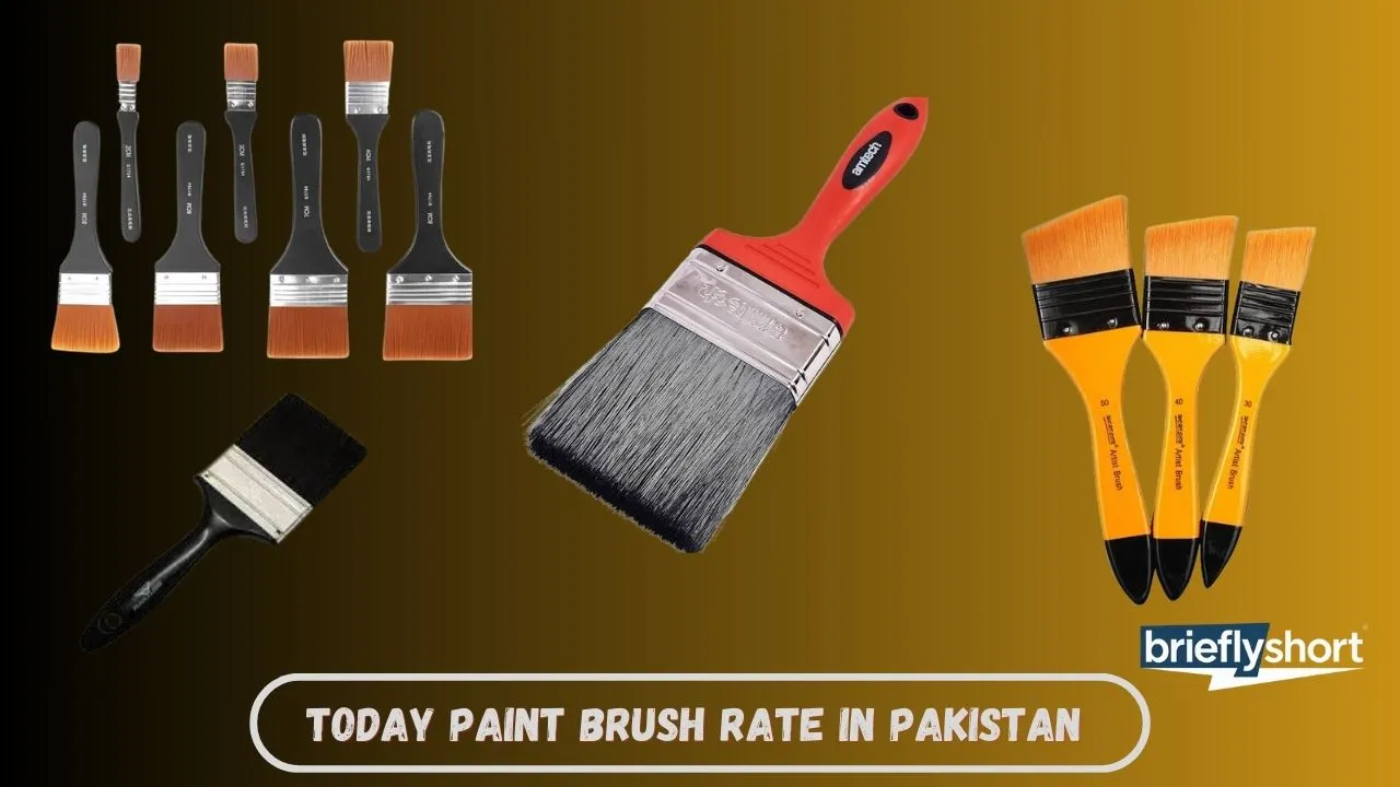 Paint Brush Price Today in Pakistan 2026 | Updated Rates